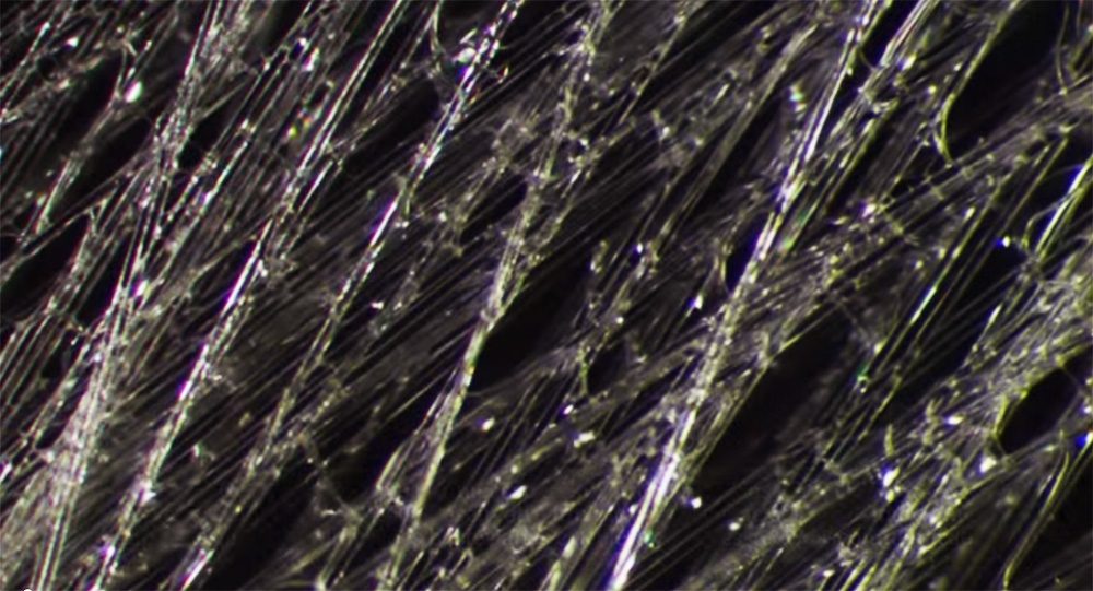 UMH, Material vitrocerámico de residuos contaminantes Revista NUVE